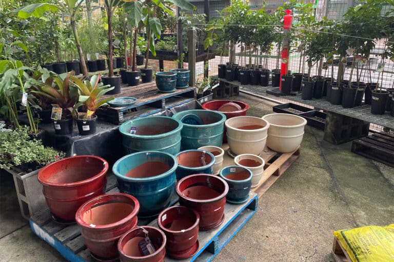 Garden Centre - Cairns Hardware